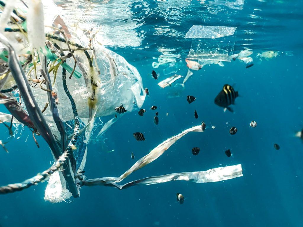 CleanKing Embraces Biotech-Based Cleaning Products for a Greener ...